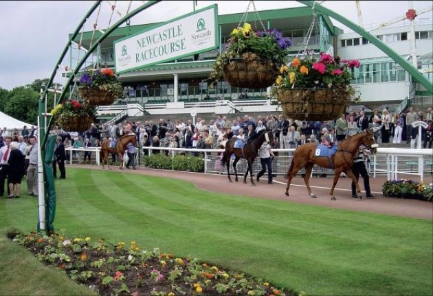 Newcastle Racecourse | Racecourses.net