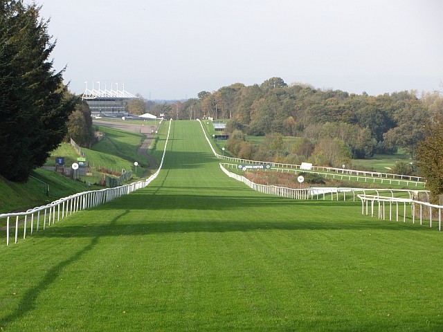Hamilton Racecourse | Racecourses.net