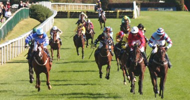 Hexham Racecourse | Racecourses.net
